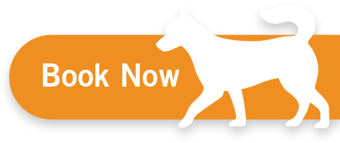 Boarding | Beau's Pet Hotel